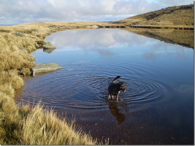 northern pies: Wild Boar Fell Swarth Fell and Baugh Fell